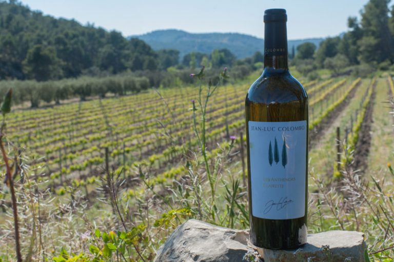 Jean-Luc Colombo Wines | Vins Jean-Luc Colombo